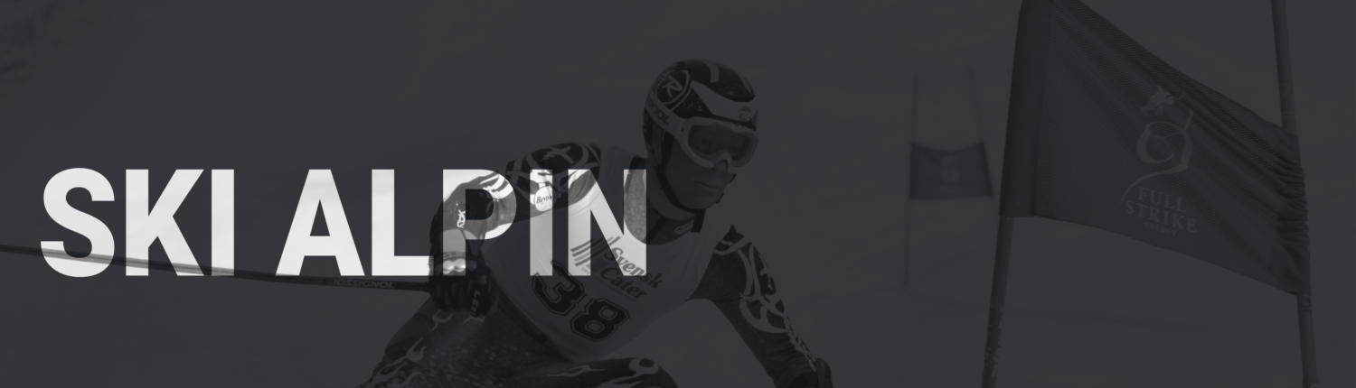 Torflaggen - SkiX/Snowboard - Frandl Sports